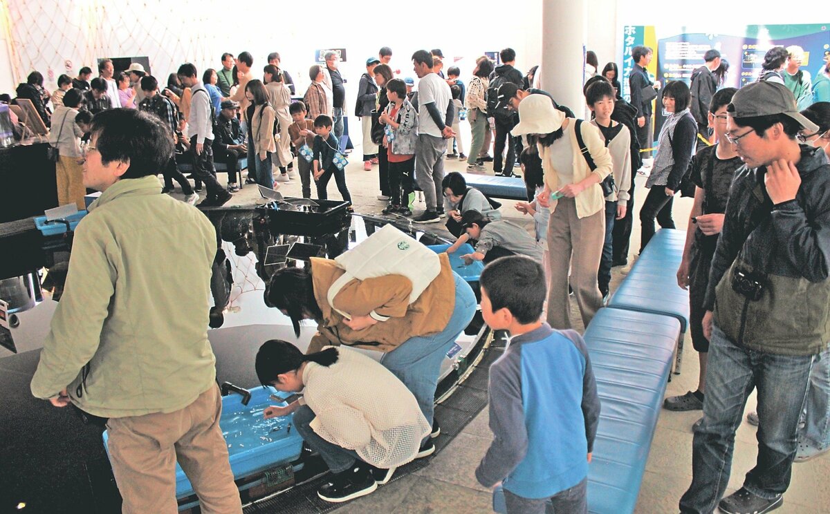 米紙効果で千客万来 滑川ほたるいかミュージアム、3月入館者が初の1万人 ｜北日本新聞webunプラス
