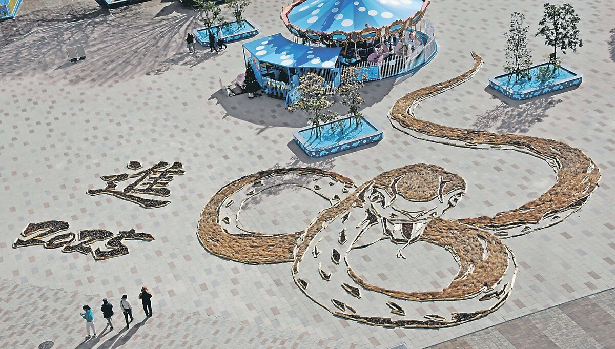蛇の巨大地上絵一望 茨城・ひたち海浜公園｜北日本新聞webunプラス