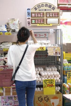 6月物価3・3％上昇｜北日本新聞webunプラス