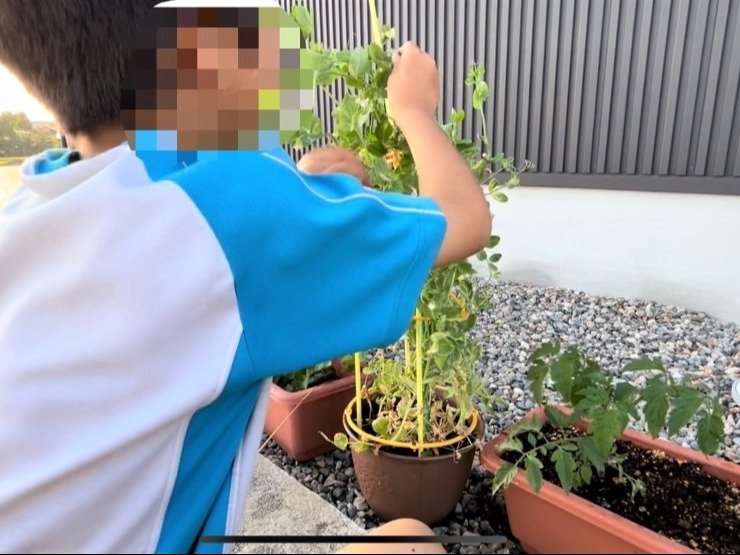 100均グッズで家庭菜園に挑戦！ コノコト｜北日本新聞webunプラス