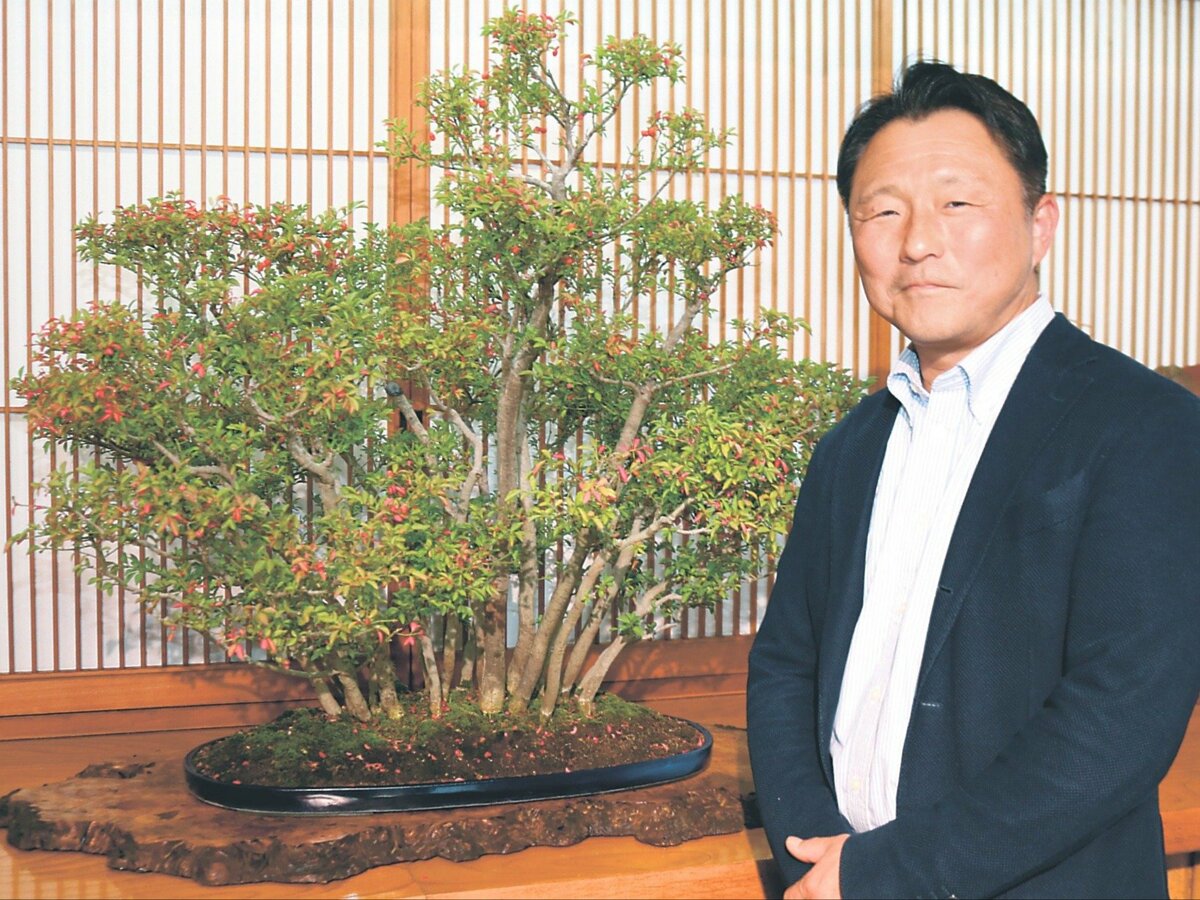 国際盆栽作家展で指導 野上さん（高岡）イタリアへ｜北日本新聞webunプラス