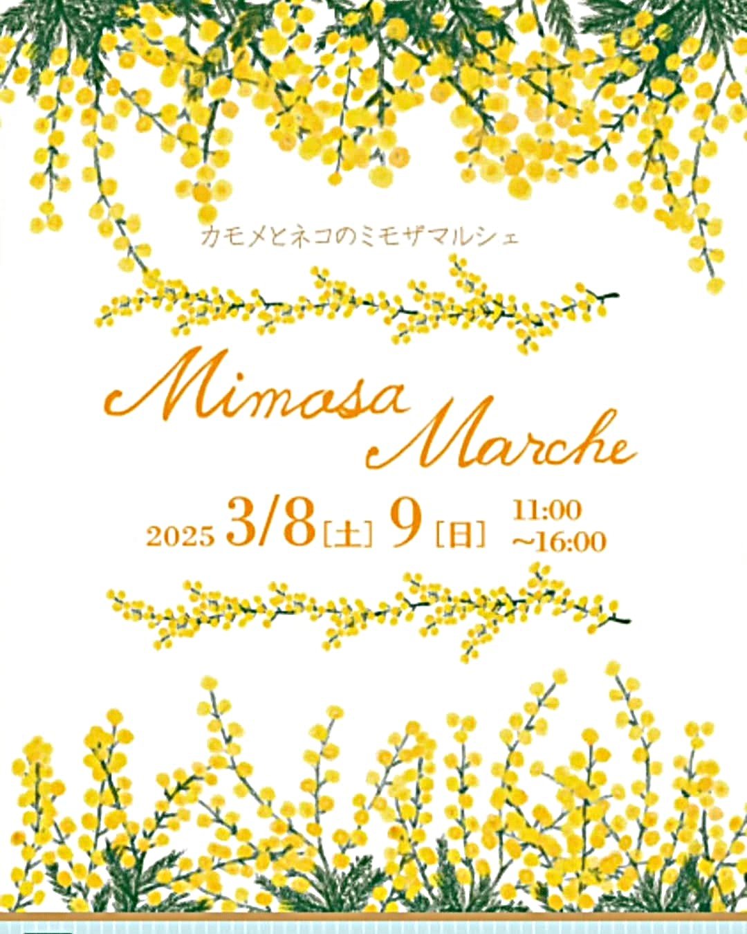 カモメとネコのミモザマルシェ｜北日本新聞webunプラス