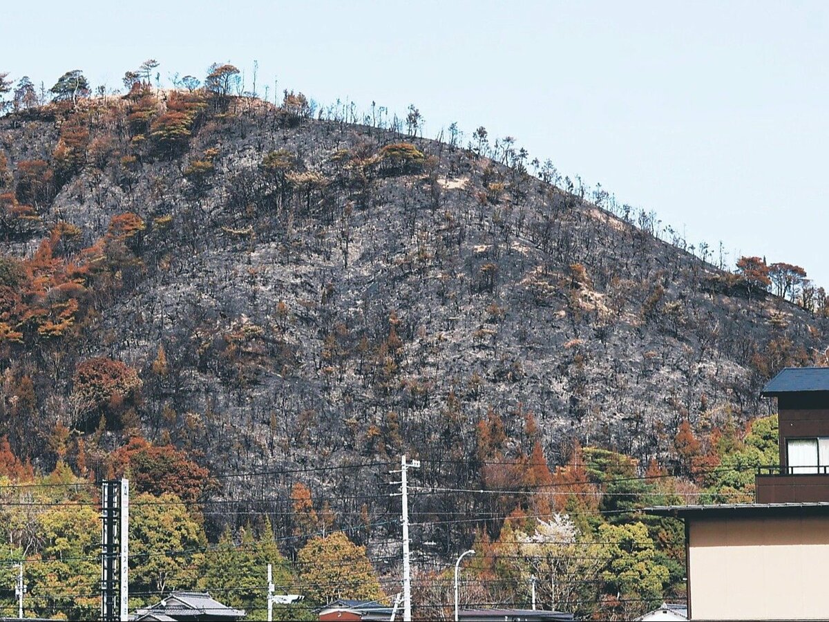 愛媛、山林火災を鎮圧 避難指示解除、1週間余りで収束｜北日本新聞webunプラス