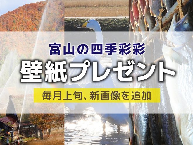 壁紙プレゼント｜北日本新聞webunプラス