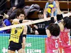 KUROBE アクアフェアリーズ｜富山のスポーツ｜北日本新聞webunプラス