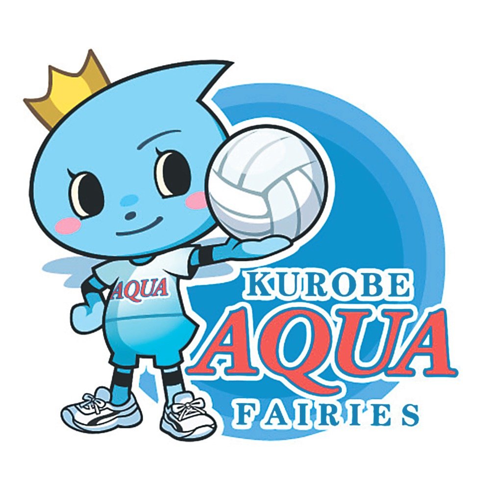 アクア運営、株式会社化 バレーSVリーグ プロ化へ着々、協賛獲得 集客アップ狙う｜北日本新聞webunプラス