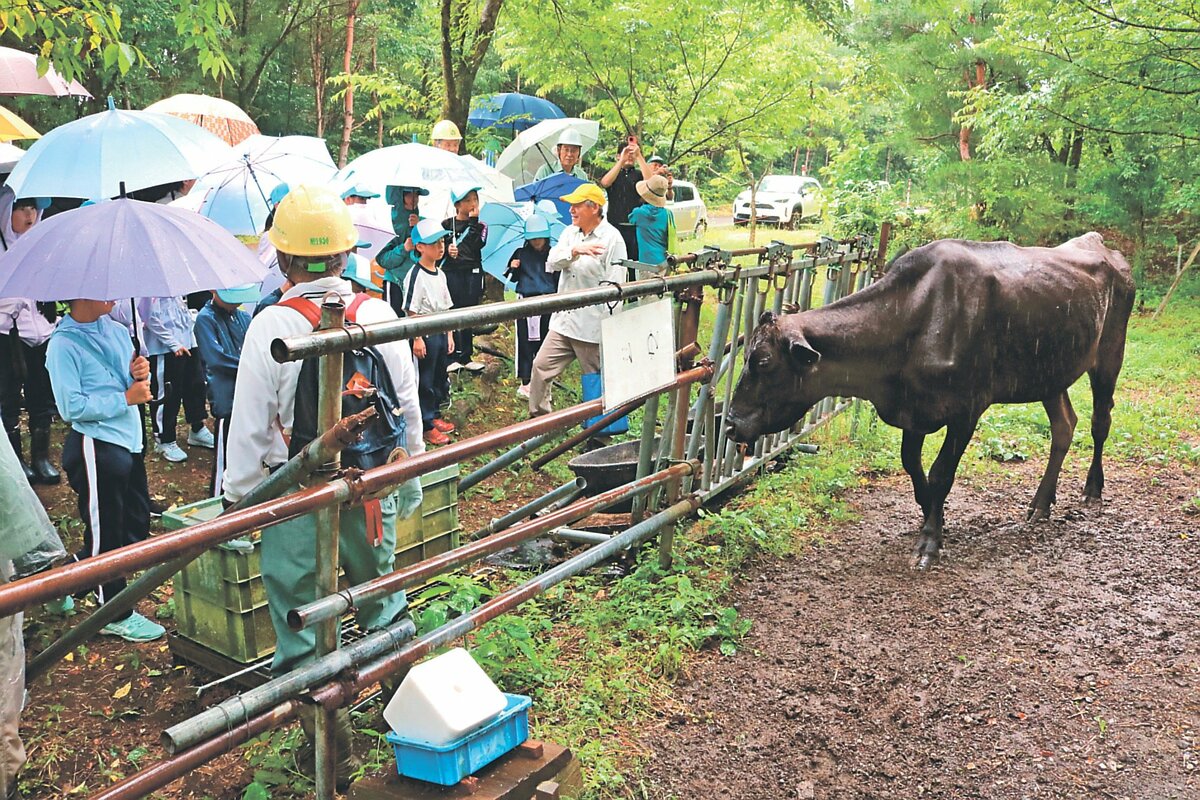 カウベルトや古墳など地元の魅力学ぶ 黒部・たかせ小3年生、阿古屋野地区で課外授業｜北日本新聞webunプラス