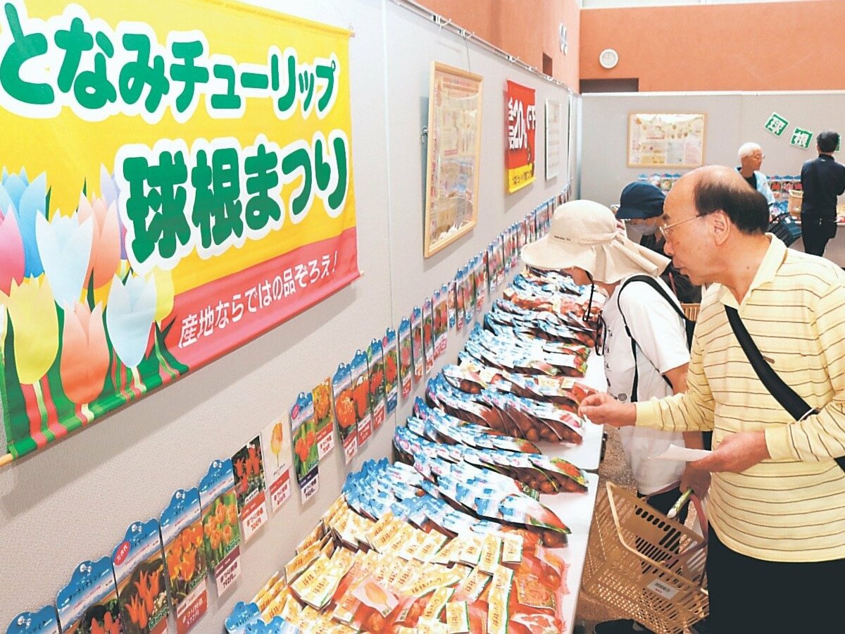 好みのチューリップ球根、お得に購入 砺波・四季彩館でまつり開幕｜北日本新聞webunプラス
