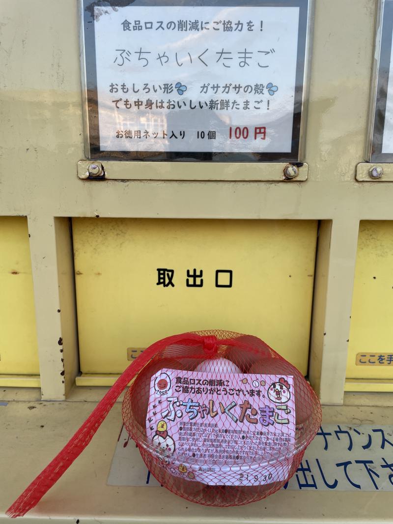 身近にできること。 コノコト｜北日本新聞webunプラス