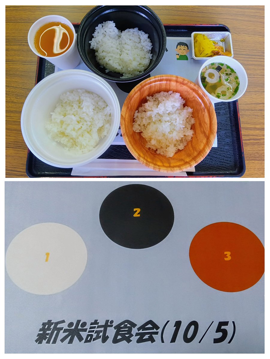 山田の新米食べ比べ＆池田航さんの富富富料理教室🍚 コノコト｜北日本新聞webunプラス