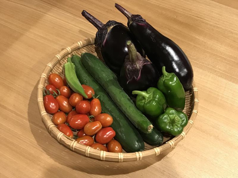 夏の食べ物 コノコト｜北日本新聞webunプラス