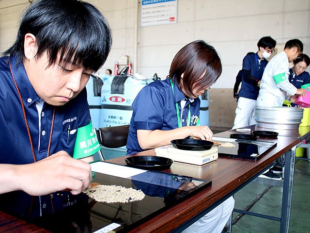 わせ品種「てんたかく」全量1等 JAうおづで初検査｜北日本新聞webunプラス