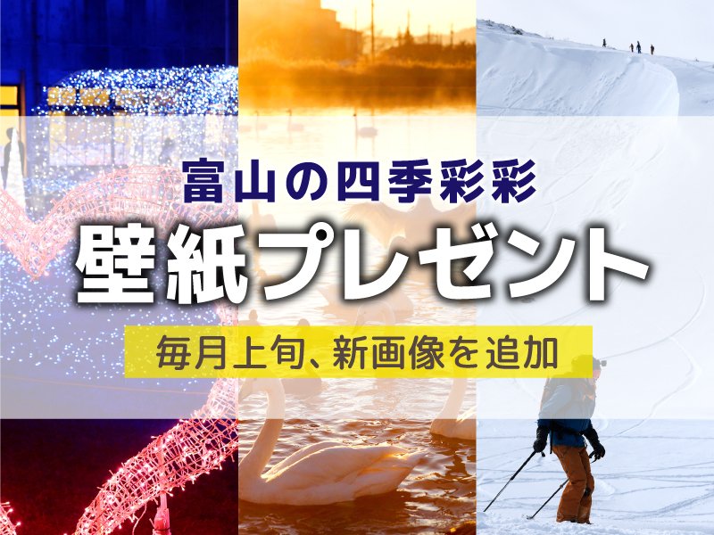 壁紙プレゼント（2023年12月）｜北日本新聞webunプラス