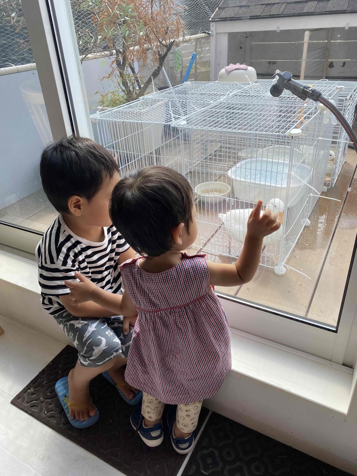 アヒルに出会えるおしゃれなカフェ「moohno」【親子でGO！オイシイおでかけ⑦】 コノコト｜北日本新聞webunプラス