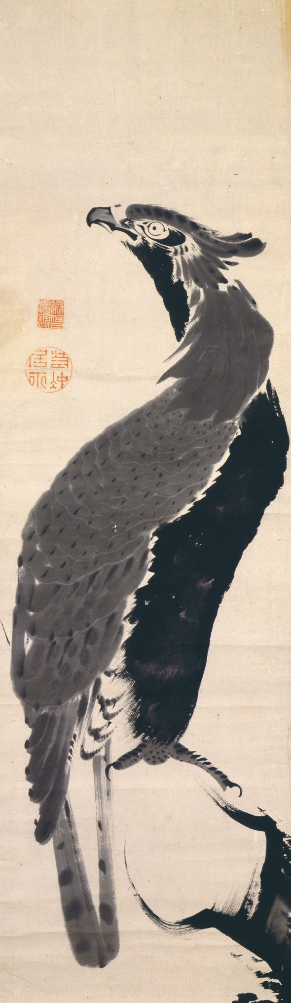 ＜太平に咲いた華～魅惑の摘水軒コレクション＞2伊藤若冲「鷹図」 白黒の世界に光る個性｜北日本新聞webunプラス