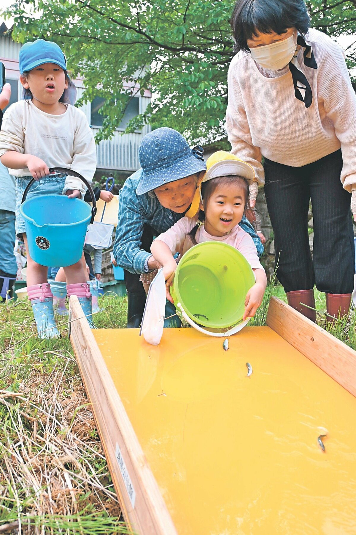 古里の自然守ろう 富山・山田地区の児童園児、稚アユ1000匹放流｜北日本新聞webunプラス