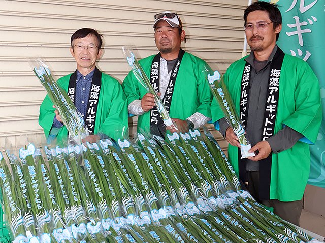 アルギットにら出荷開始 JAとなみ野、生育順調6月店頭に｜北日本新聞webunプラス