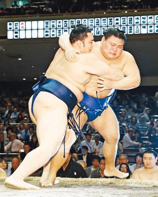 2017年夏場所の成績｜北日本新聞webunプラス