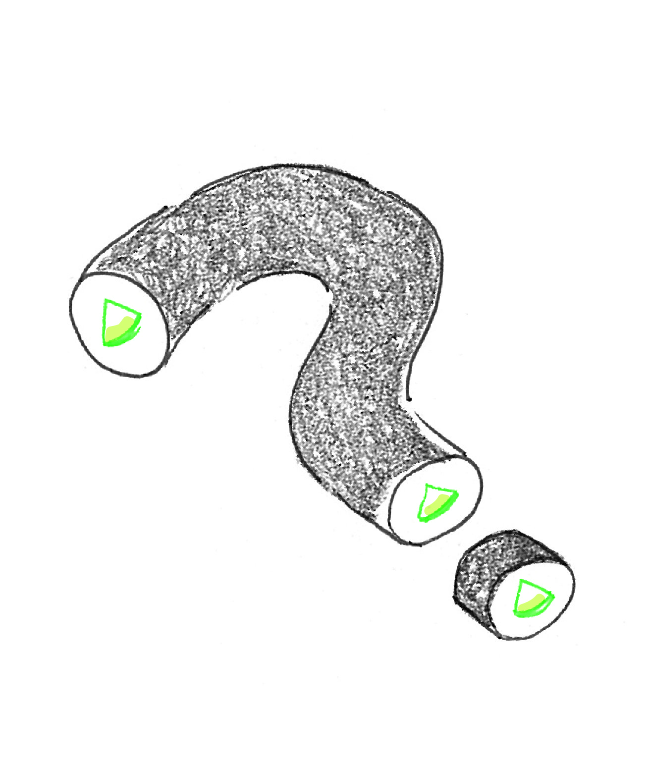 全会一致で細巻きと決めた日｜北日本新聞webunプラス