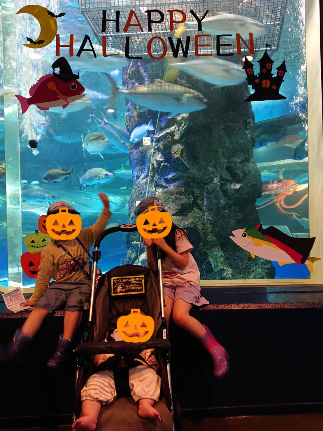 魚津水族館にハロウィーンフォトブース！ コノコト｜北日本新聞webunプラス