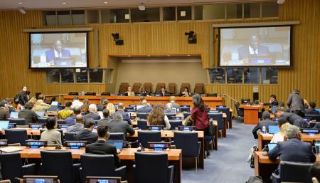 NPT準備委、勧告案の採択断念｜北日本新聞webunプラス