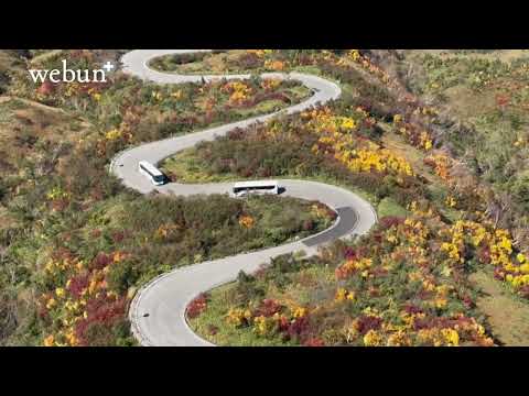 ＜とやまの紅葉2024＞立山・七曲色づく秋のつづら折り｜北日本新聞webunプラス