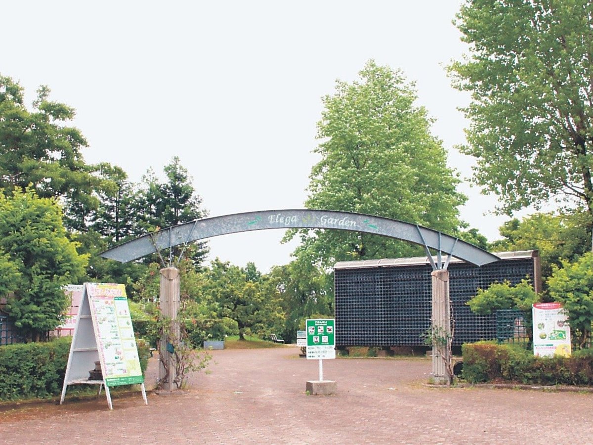 県花総合センター26年度末廃止 砺波市新庁舎の最有力地｜北日本新聞webunプラス