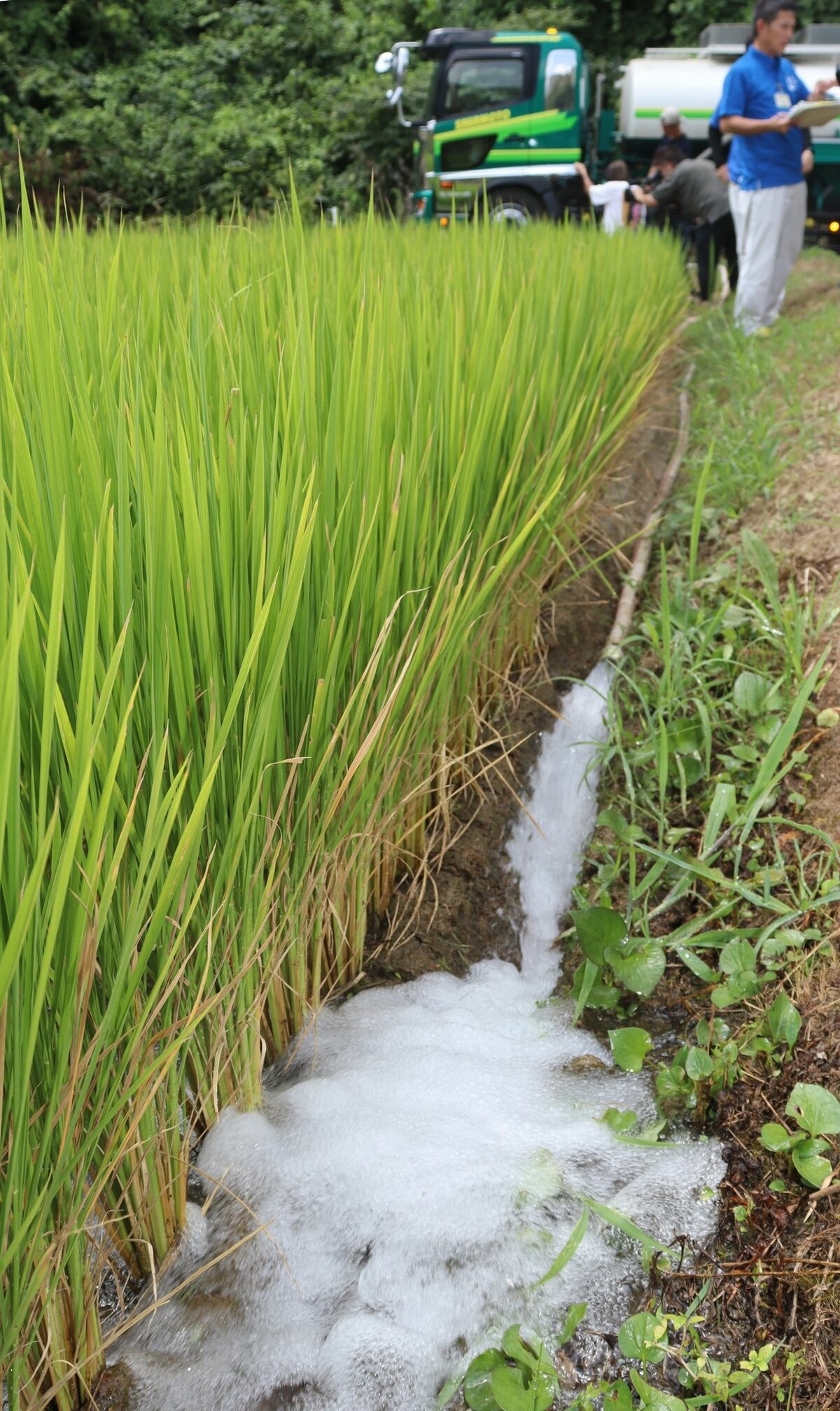 中山間地の田んぼに給水車で支援 砺波市が渇水対策｜北日本新聞webunプラス