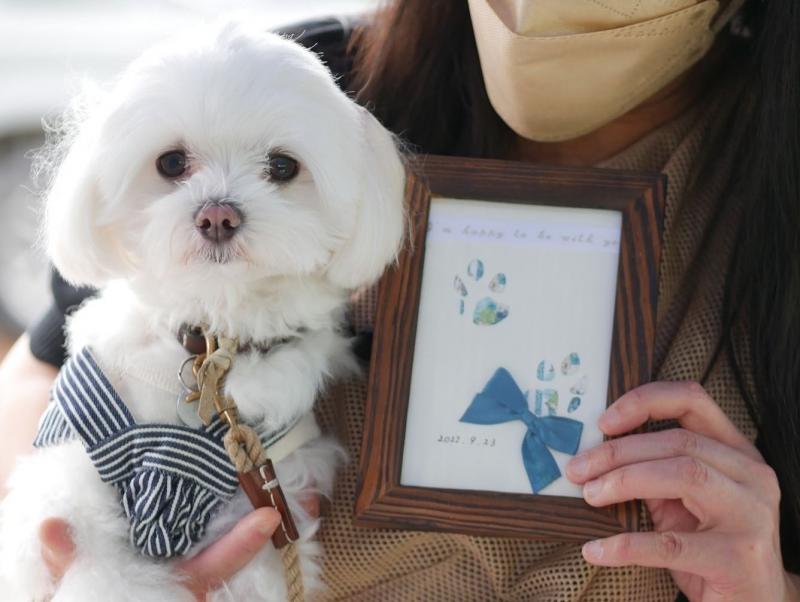 イヌネコマルシェ コノコト｜北日本新聞webunプラス