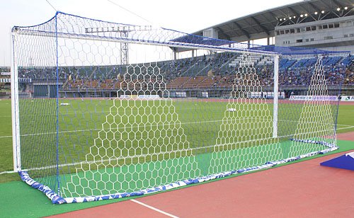 サポーター有志がブルーネット贈る カターレ｜北日本新聞webunプラス