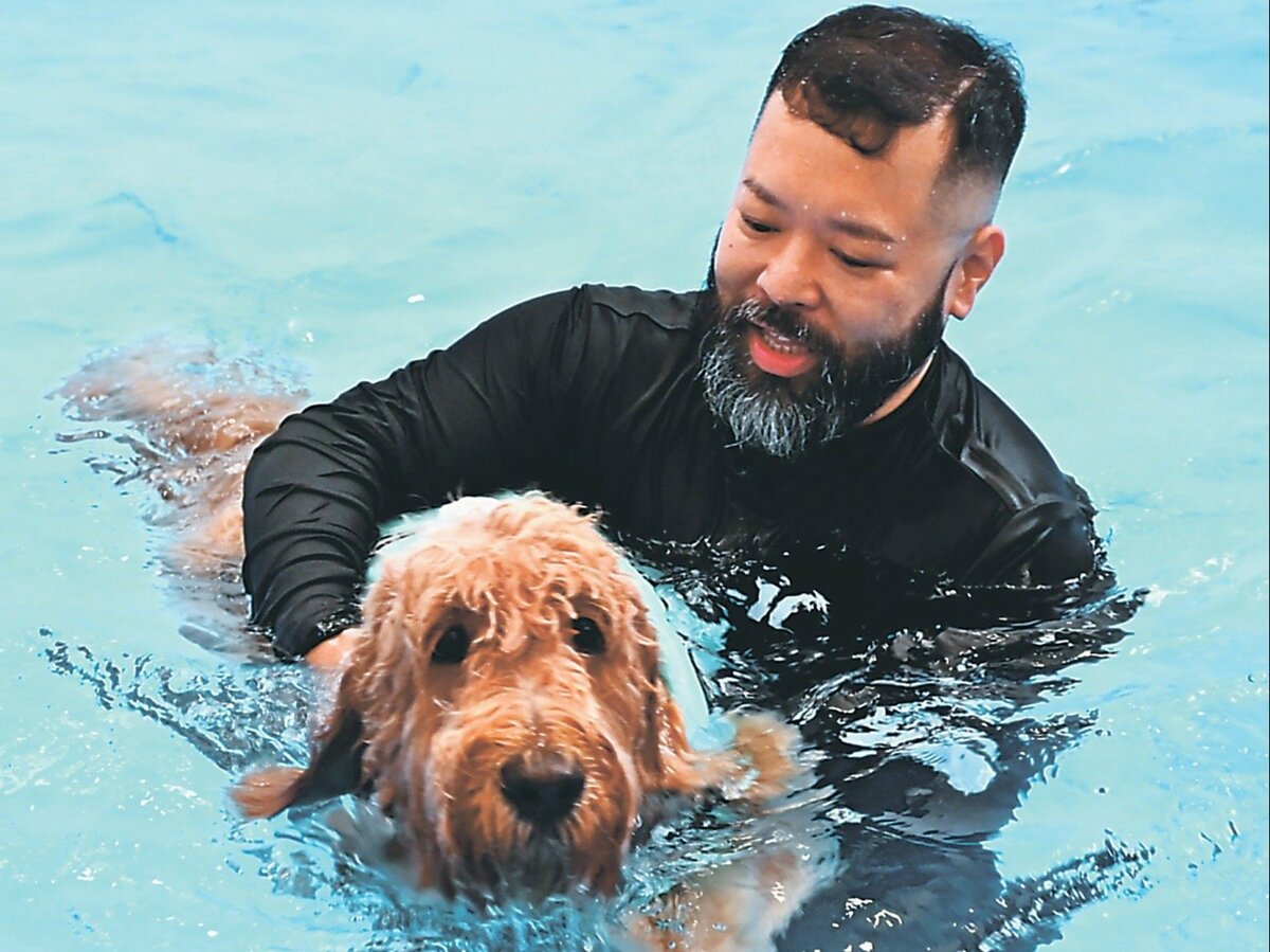 犬専用プール、富山に8月オープン 全天候型で食事・美容もトータルアドバイス｜北日本新聞webunプラス