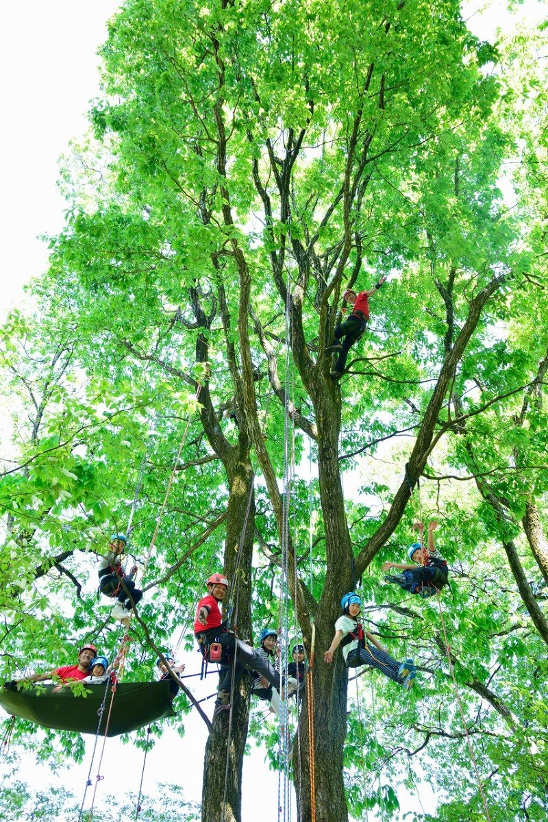 いきいき射水 春の太閤山フェスティバル2025｜北日本新聞webunプラス