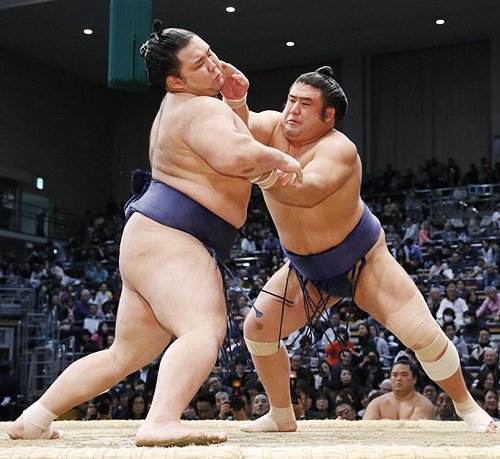 朝乃山 負け越し 九州場所13日目｜北日本新聞webunプラス