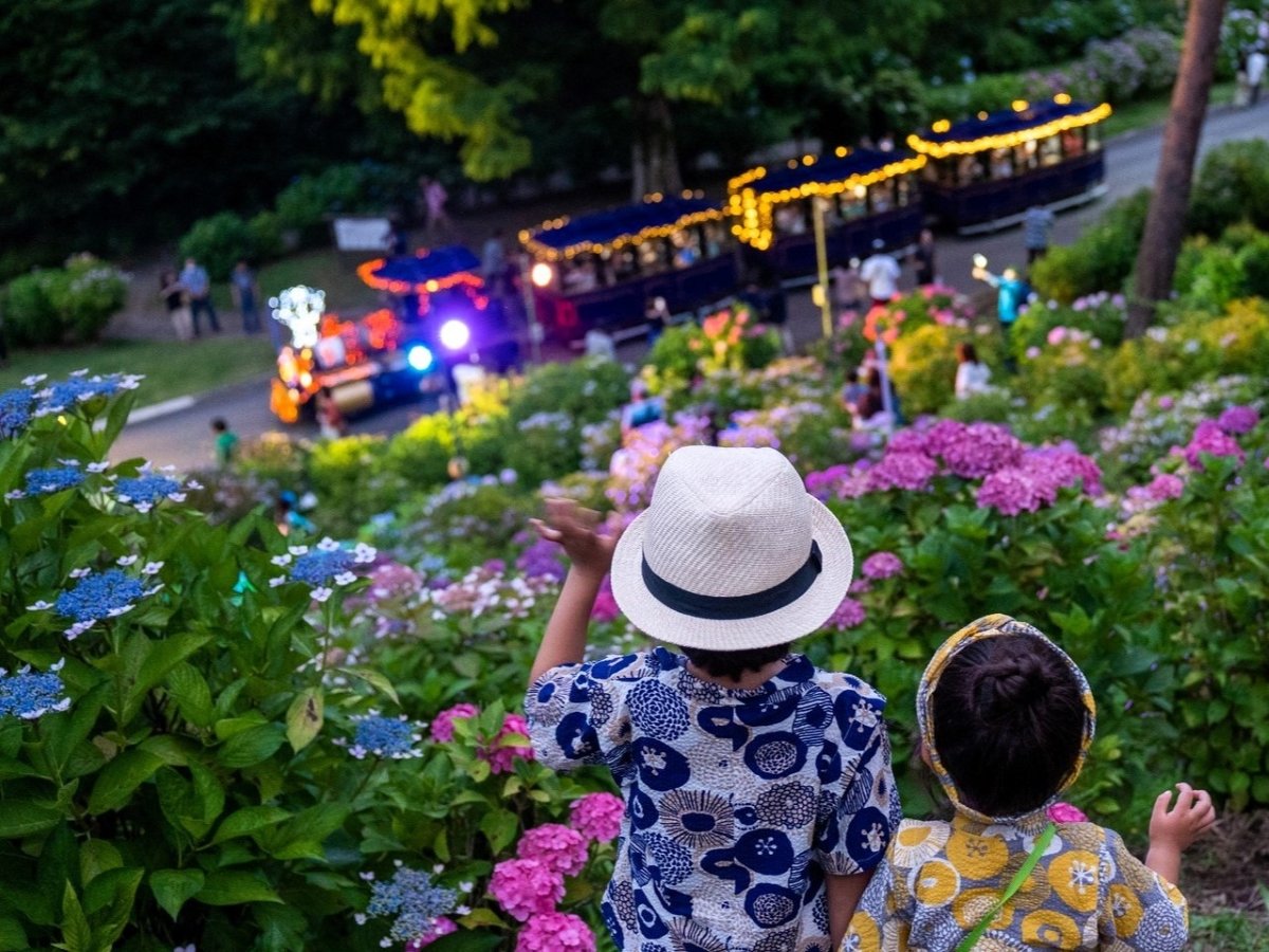 総曲輪夜市 with 山王まつり｜北日本新聞webunプラス
