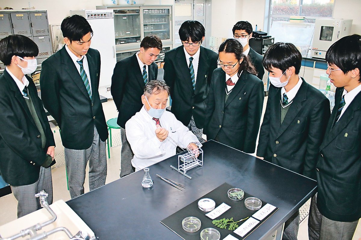 上市高、害虫駆除にカビ研究 農薬の代わり、ヒントはイモムシ｜北日本新聞webunプラス