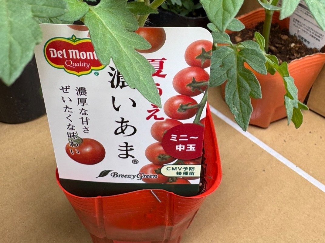 家庭菜園 コノコト｜北日本新聞webunプラス