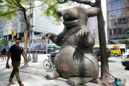 NYで「ネズミ対策サミット」｜北日本新聞webunプラス